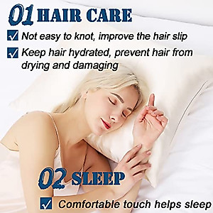 BIGHAS 100% Mulberry Silk Pillowcase for Hair and Skin with Hidden Zipper, Soft Breathable Natural Both Side 19 Momme Silk, 600 Thread Count (Beige, Standard)