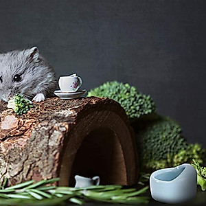 Mipcase Hamster Ceramic Bowl- Small Animal Food Bowl, No Spill Food Water Dish for Hedgehog Gerbil Chinchilla Rat Ferret ( Blue )