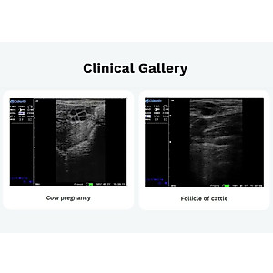 SWR Dawei Vet Ultrasound Machine Portable Veterinary Handheld Scanner B-Ultra Sound Lightweight Ultrasound Pregnancy Tester with Waterproof Probe for Pig,Sheep,Dog use (Back Fat Probe)