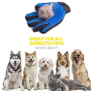 EJG New Version 1 Pair Pet Grooming Gloves with Hair Removal Brush, Deshedding Gloves to Brush and Fur Remover, Dematter Deshedder for Dog, Cat, Horse with Long & Short Fur