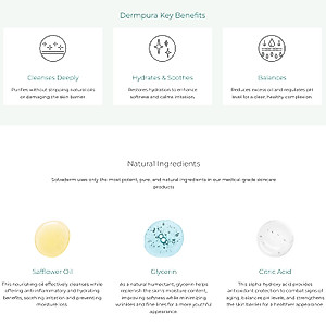 Solvaderm Dermpura Foaming Skin Balancing Cleanser Washes Away Impurities, Repairs Damage and Soothes Irritation with an Infusion Of Natural Botanicals