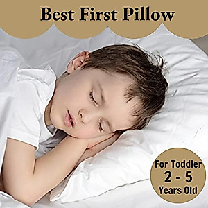 Toddler Pillow with Pillowcase | 13 x 18 Soft Hypoallergenic 100% Organic Cotton Baby Pillows for Sleeping | Small Kids Pillow, Infant - Perfect for Travel, Cribs Bed Sets, Machine Washable