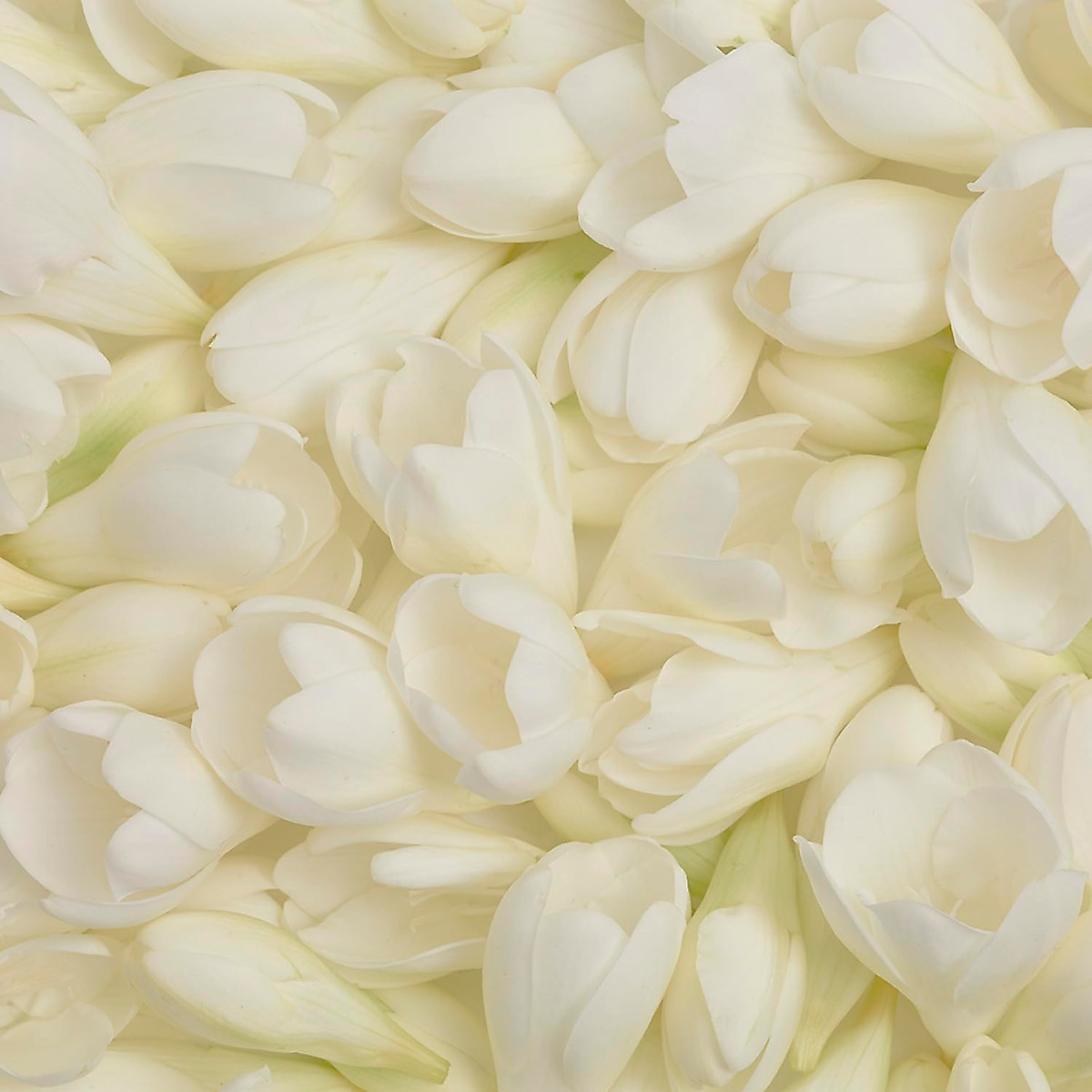 Avon Today Eau de Parfum for Her 50ml - 1.7fl.oz.