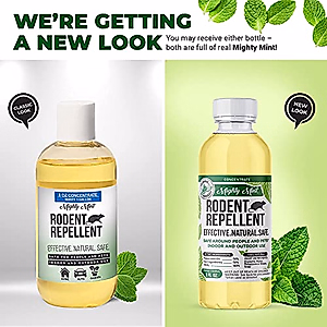 Mighty Mint 8 oz Peppermint Rodent Repellent Concentrate - Makes 1 Gallon - Natural Spray for Rats, Mice, and More