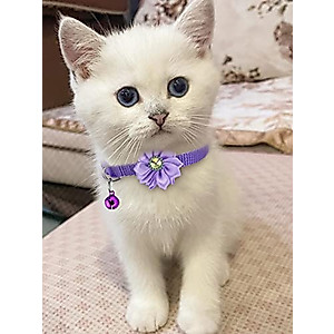 12/16 PCS Cute Cat Collars Breakaway with Bell for Boy Cats and Girl Cats Gifts