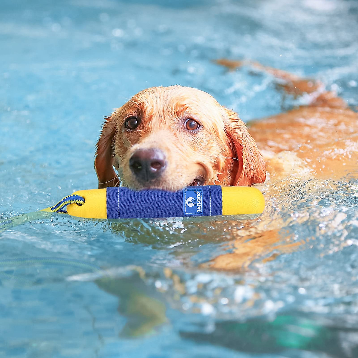 TAILGOO Dog Pool Fetch Toys Interactive Water Floating Toys Outdoor Beach Training Bumpers for Summer, 2 Pack, 10"