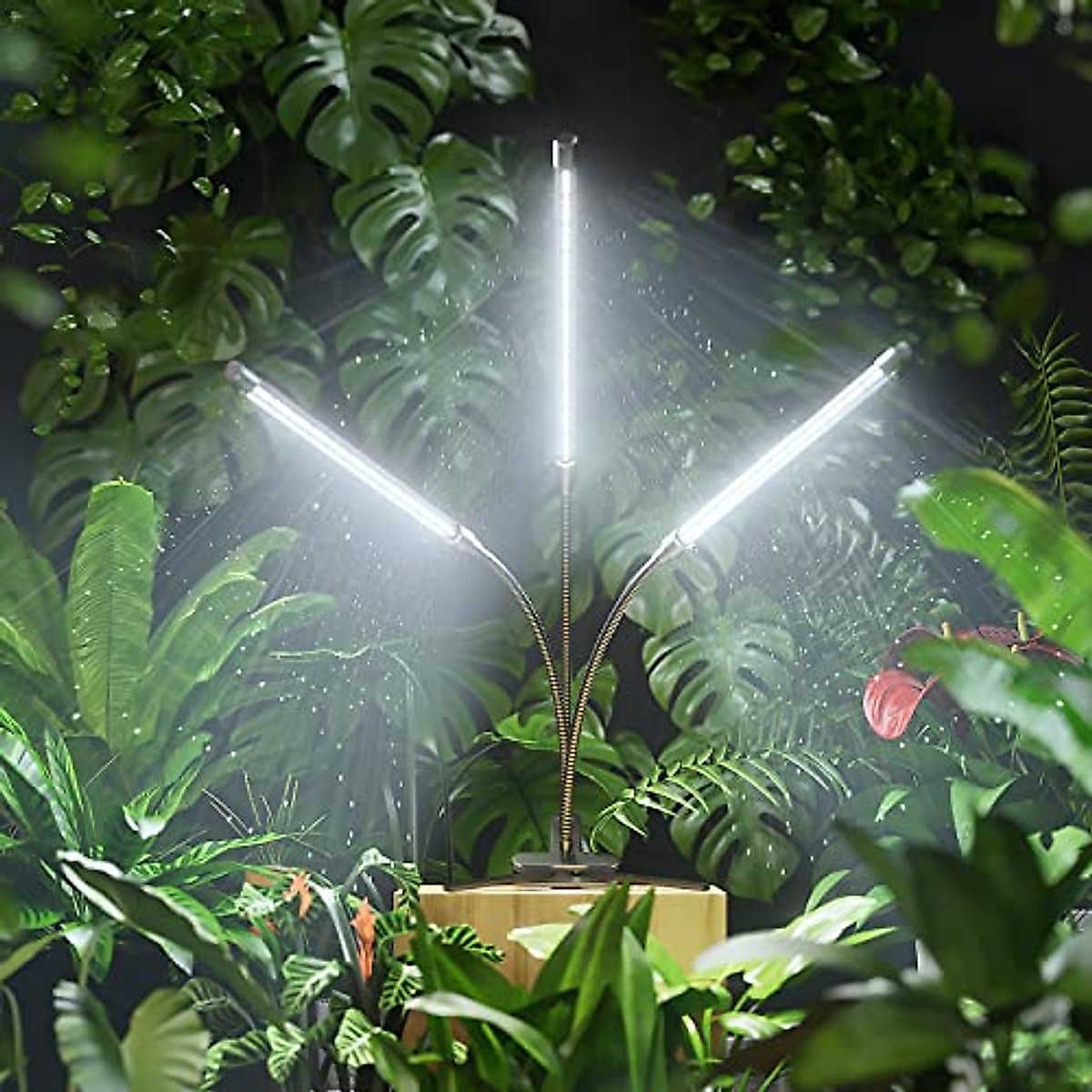 BAEDAOD Grow Lights for Indoor Plants, 6000K 135 LEDs Grow Light for Seed Starting with Full Spectrum, Clip Plant Lights with Flexible Gooseneck，3/9/12H Timer, 10 Dimmable Levels, 3 Switch Modes