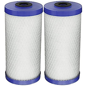 Pentek EP-BB Carbon Block Filter Cartridge, 9-3/4" x 4-5/8", 5 Microns (Pack of 2)