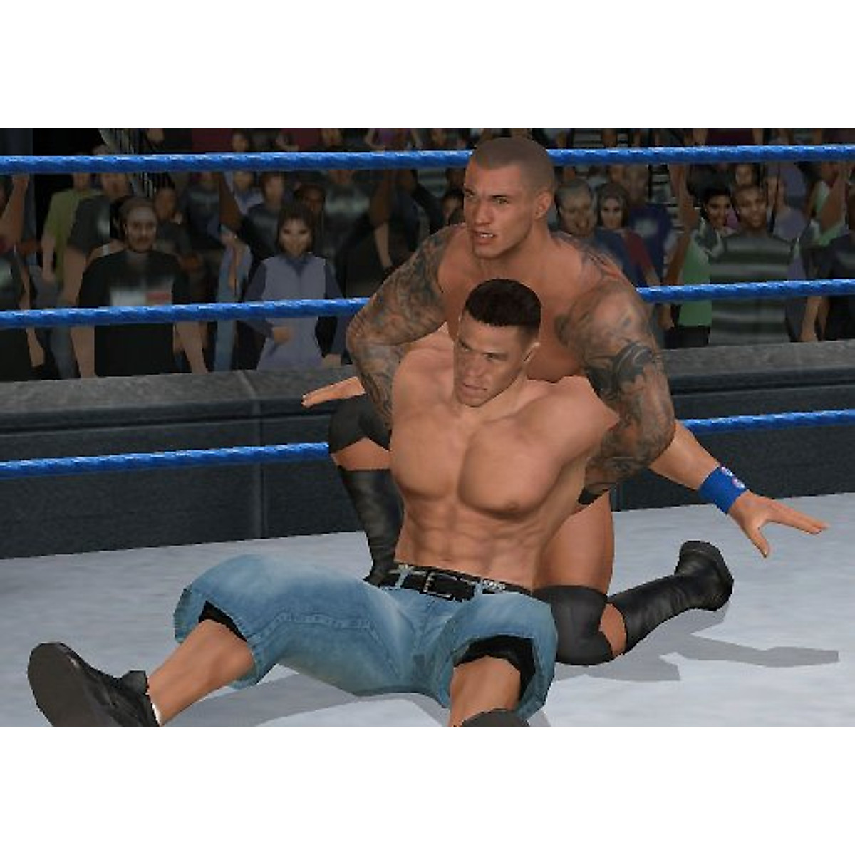 WWE SmackDown vs. Raw 2010 - Nintendo Wii