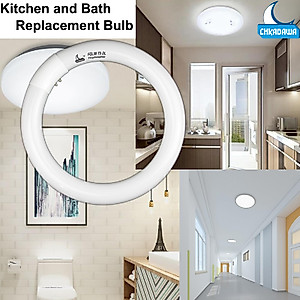 CHKADAWA FC9T9 9 inch Circline Light Bulbs T9 30W, FCL30 Circular Fluorescent Lamp Round 30 Watts Bulb Replacement for Ceiling Fan Fixture, Daylight DL 6500K, G10q 4 Pin Base, 2 Pack