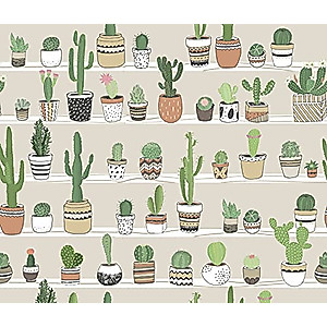 Stesha Party Cactus Wrapping Paper Plant Lover Gift - Folded Flat 30 x 20 Inch - 3 Sheets