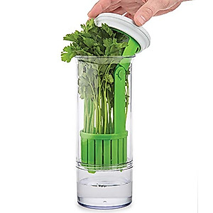 Prepworks by Progressive Prep Solutions Produce Keeper