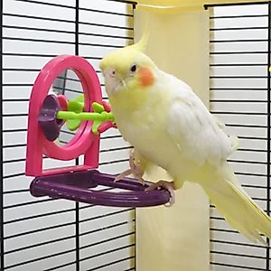 Barn Eleven Bird Stand Perch with Mirror, Parrot Chew Ball Foraging Toys, Bird Interactive Intelligence Toy with Mirror for Budgies Parakeets Cockatiels Conures Color Randomly
