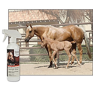 UltraCruz - sc-395298 Equine Detangler Spray for Horses, 16 oz