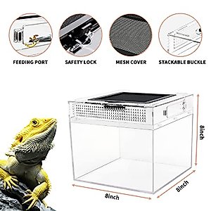 Reptile Growth Mini Reptile Terrarium,8" x 8"x 8" Reptile Tank with Full View Visually Appealing，for Insect，Fish，Tarantula，Hermit Crab，Jumping Spider，Iguana，Tortoise，Leopard Gecko，Frog，Bearded Dragon