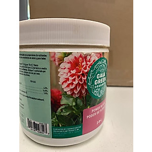 GG Power Bloom, 500 Gram