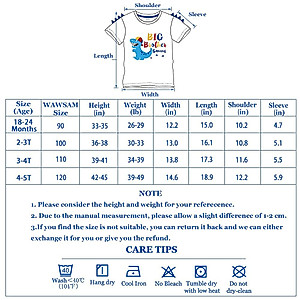 Dinosaur Big Brother Announcement T Shirt Sibling Outfits for Toddler Boys 100% Cotton Promoted to Big Brother Shirt White Print Colorful Short Sleeve Top Tee Gift (White, 4T)