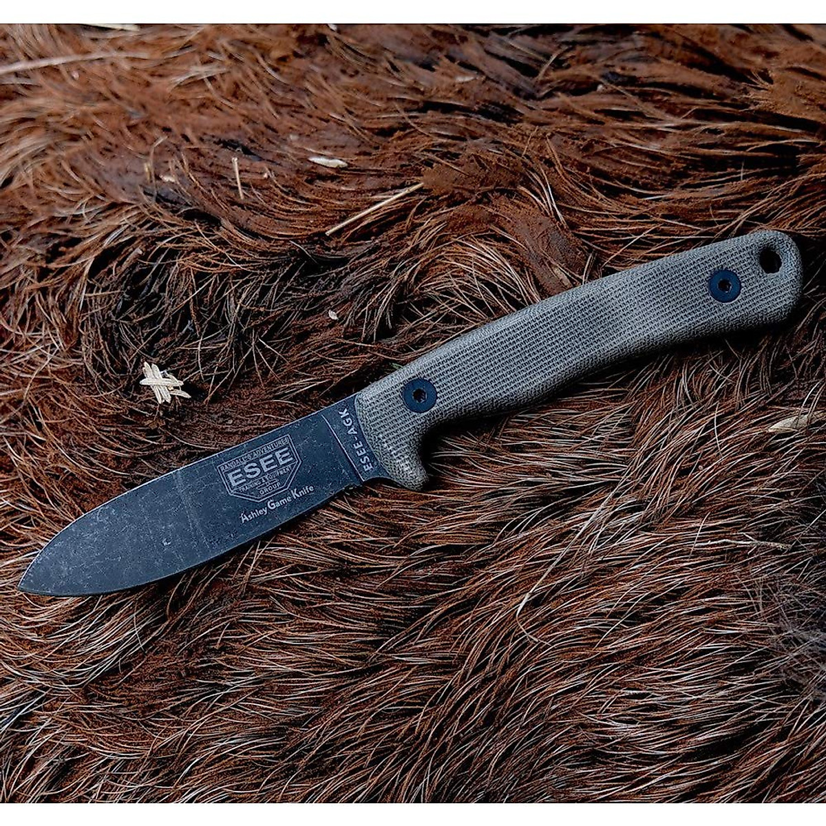 ESEE Knives Ashley Game Hunting Skinning Knife w/Sheath, Made in USA (Micarta)