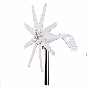 HUIZHITENGDA 3000W No Noise Wind Turbine MPPT Controller,12V/24V/48V Small Wind Turbine for Home Use for Outdoor Gardens(White,8 Blades),48v