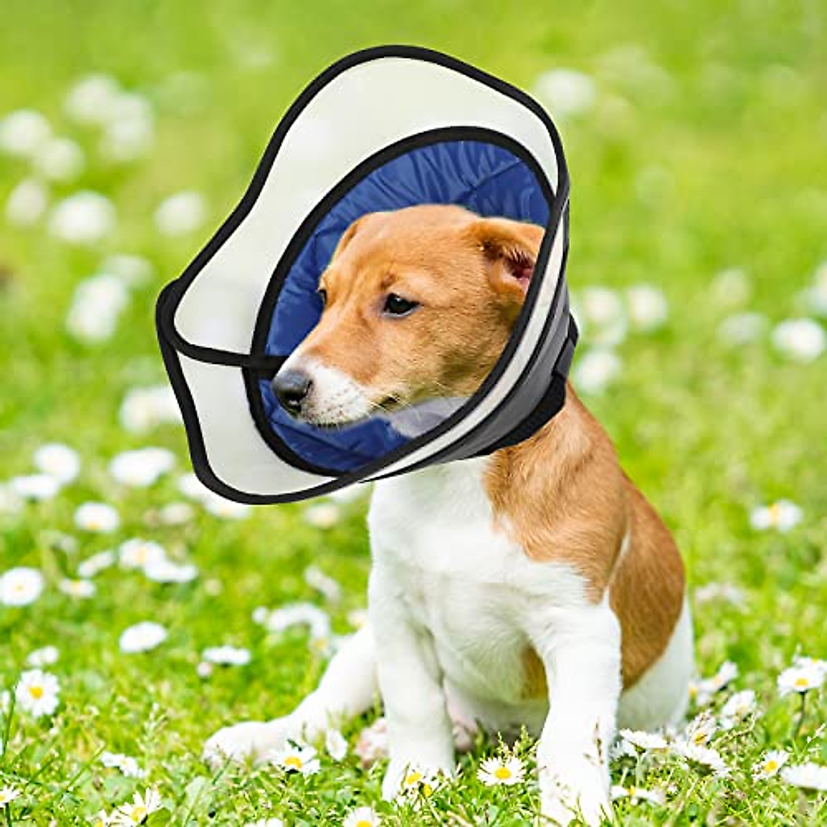 Manificent Dog Cone Collar for Dog After Surgery, Soft Recovery Cone for Medium Large Dog, Prevent Pet Puppy Bite Licking Scratching Touching, Help Dog Healing from Wound S Size