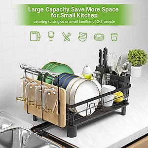 Dish Drying Rack - Stainless Steel Dish Rack for Kitchen Counter, Dish Drainer with Utensil Holder, Space-Saving, Rust-Resistant Dish Rack for Dishes, Glasses, and Cutting Board, 12''W x 15''L, Black