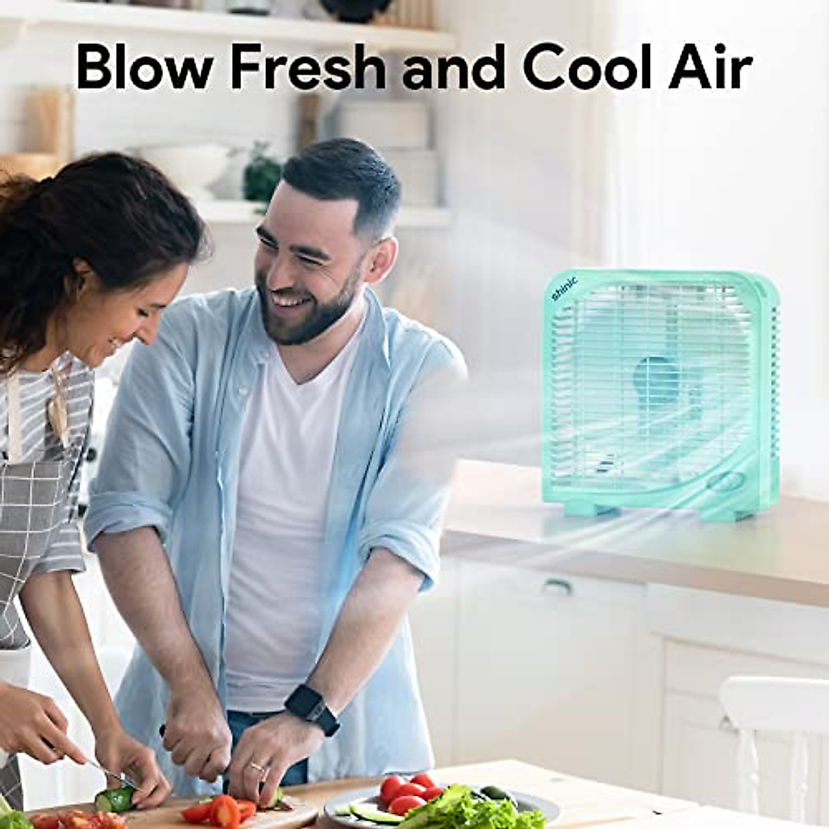 shinic Box Fan 10 Inch, 2 Speeds, Table Fan with Strong Airflow, Energy Efficient Small Window Fan, Air Circulation Portable Kitchen Exhaust Fan for Bedroom Bathroom, and Tabletop, green
