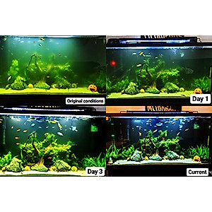 YADICO Aquarium Green Water Killer Filter Pump 9W 200GPH for Fish and Plant Tank