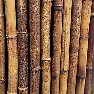 Backyard X-Scapes Caramel Brown Bamboo Fencing Decorative Rolled Fence Panel 3 ft H x 8 ft L