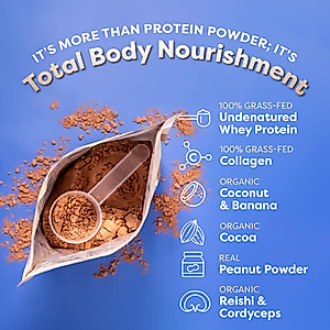 FlavCity Protein Powder Smoothie, Chocolate Peanut Butter - 100% Grass-Fed Whey Protein Smoothie with Collagen (25g of Protein) - Gluten Free & No Added Sugars (37.74 oz)