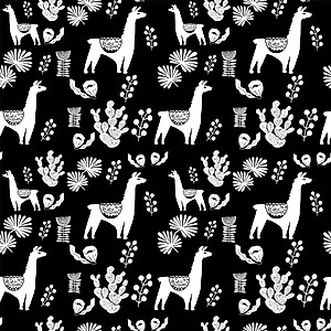 Find Sun Llama Cactus Plants Summer Black and White Duvet Cover Set Queen Bedding set Covers 1 Duvet Cover and 2 Pillow Shams without Comforter