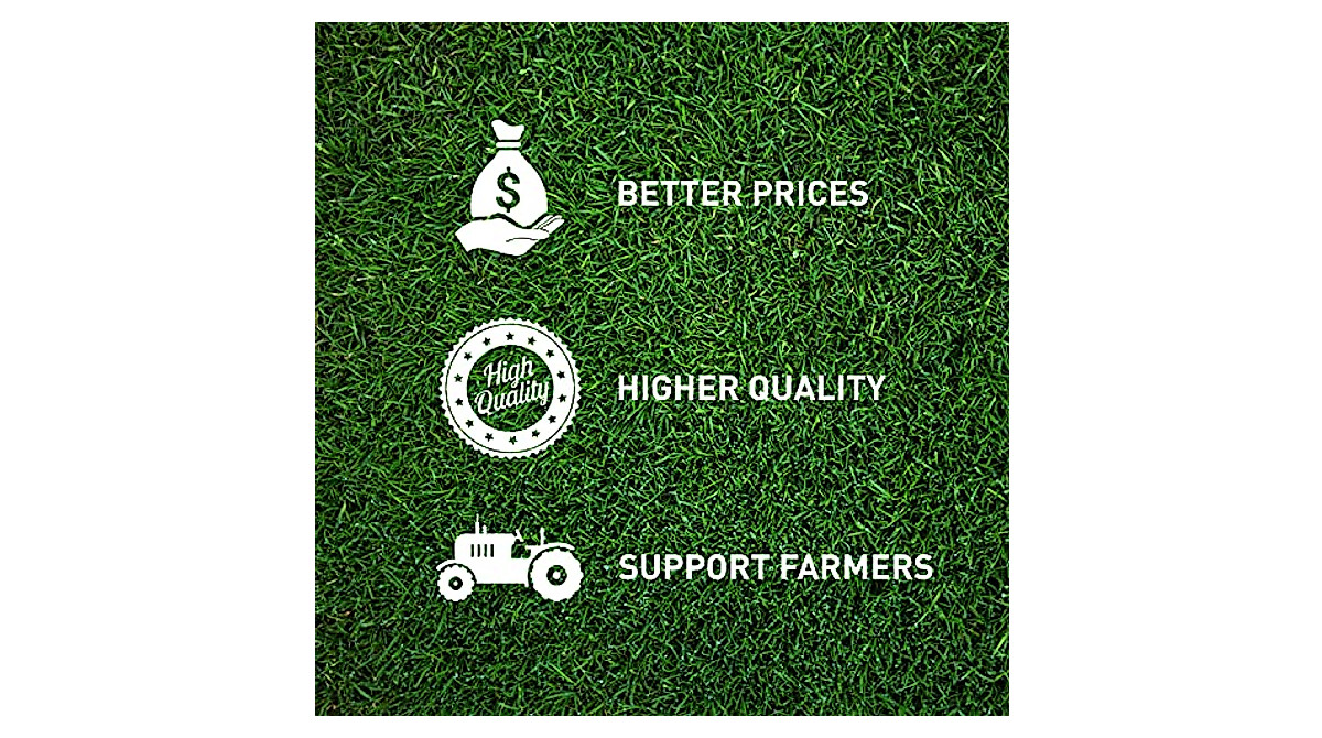 Hancock Seed Highlander Turf Bermuda Grass 10 lbs - Buy Now