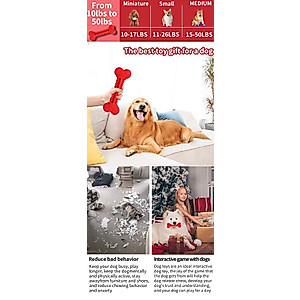 Patchy's Pets Puppy and Dog Toothbrush Dental Chew Toy Bone, Teeth Cleaning, Teething, Soft Flexible Durable Rubber Dog Toys, Small Treat Holder, Puppy and Small Breeds, Non Toxic (Yellow)