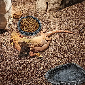 2 Pack Reptile Feeding Dish Corner Bowl, Reptile Water Dish Food Bowl, Amphibian Reptile Feeding Terrarium Bowls for Lizard Bearded Dragon Frog Gecko Tortoise Hermit Crab