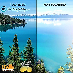 Apex Lenses Non-Polarized Replacement Lenses for Dragon Hype Sunglasses (24K Gold)