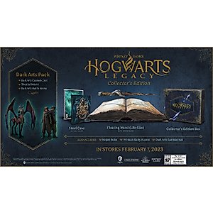 Hogwarts Legacy Collector's Edition - PC