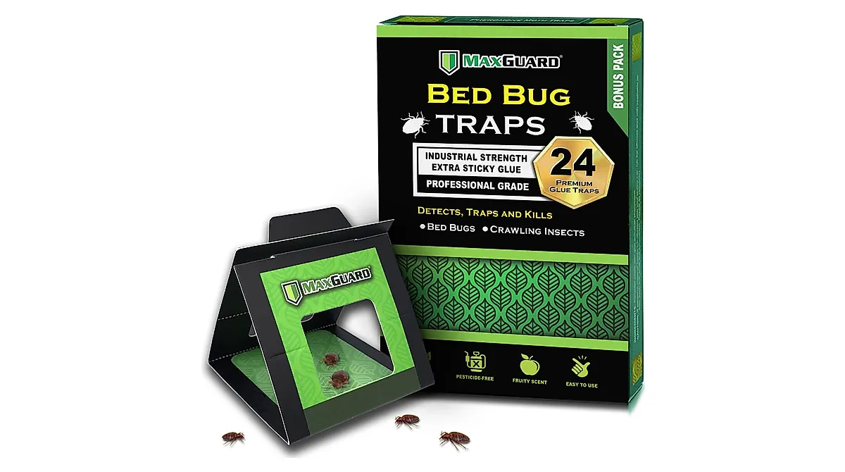 MaxGuard Bed Bug Traps (24 Traps) Non-Toxic Bed Bug Detection Traps. Detects, Traps, and Kills ...