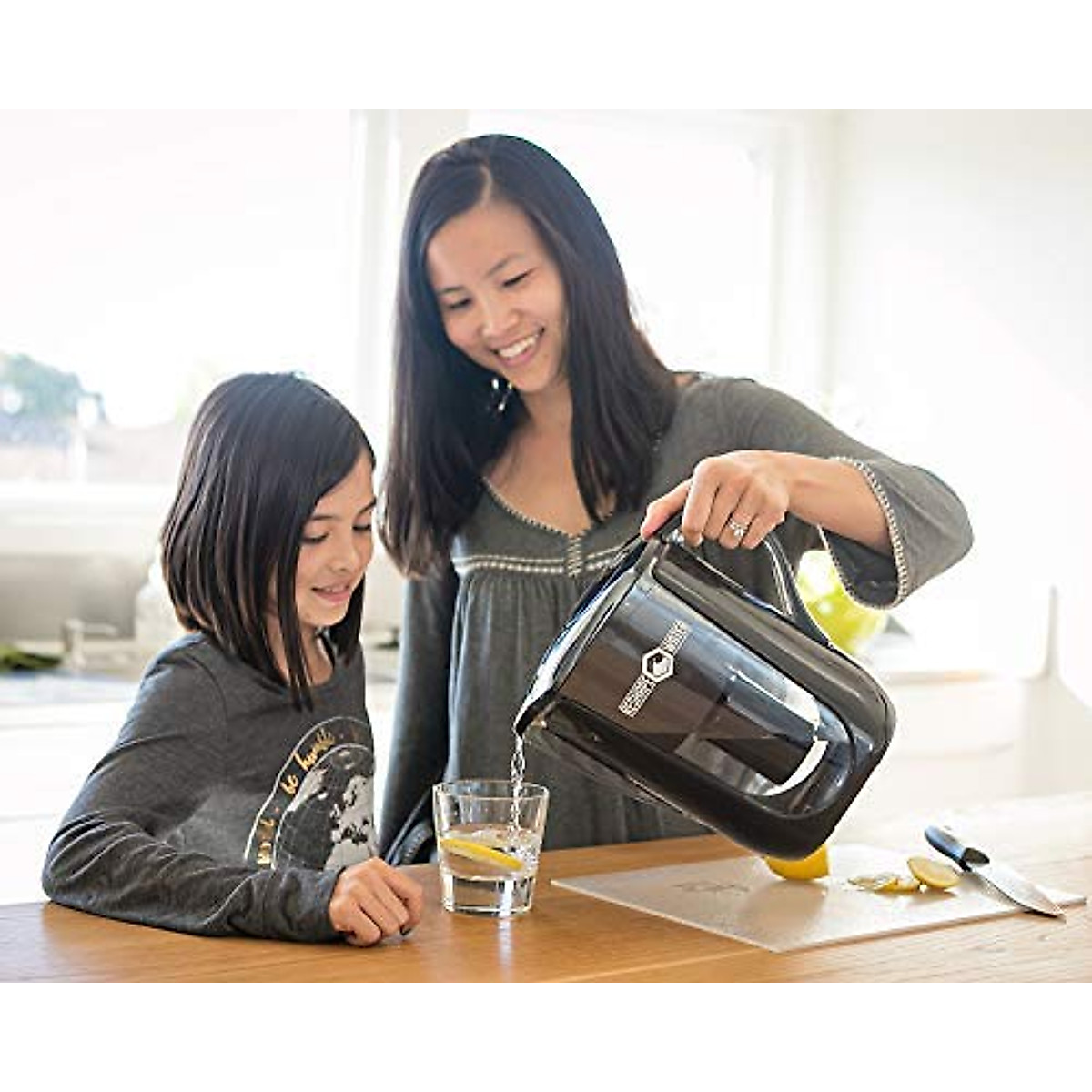 Reshape Water Pitcher Filter Replacement Cartridge (2 Pack)