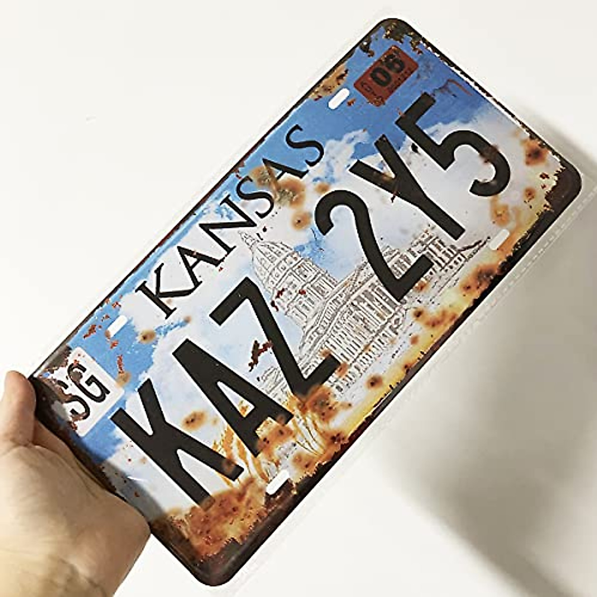 Panguru 2 Pieces Prop License Plates from Supernatural, Metal Stamped Number Tags, Movie Prop Vanity Plate, 12x6 inches