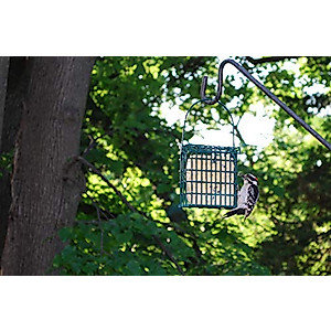 ST. ALBANS BAY SUET PLUS Bird Suet Variety Packs | 11 oz. Bird Suet Cakes | (High Energy, 15 Pack)