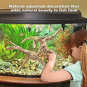 WDEFUN Driftwood for Aquarium Decor Natural Spider Wood Branches for Fish Tank Decorations 4-8 inch Pack of 7