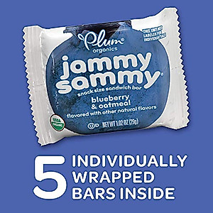 Plum Organics Jammy Sammy Blueberry & Oatmeal, 1.02 Oz, 5 Ct