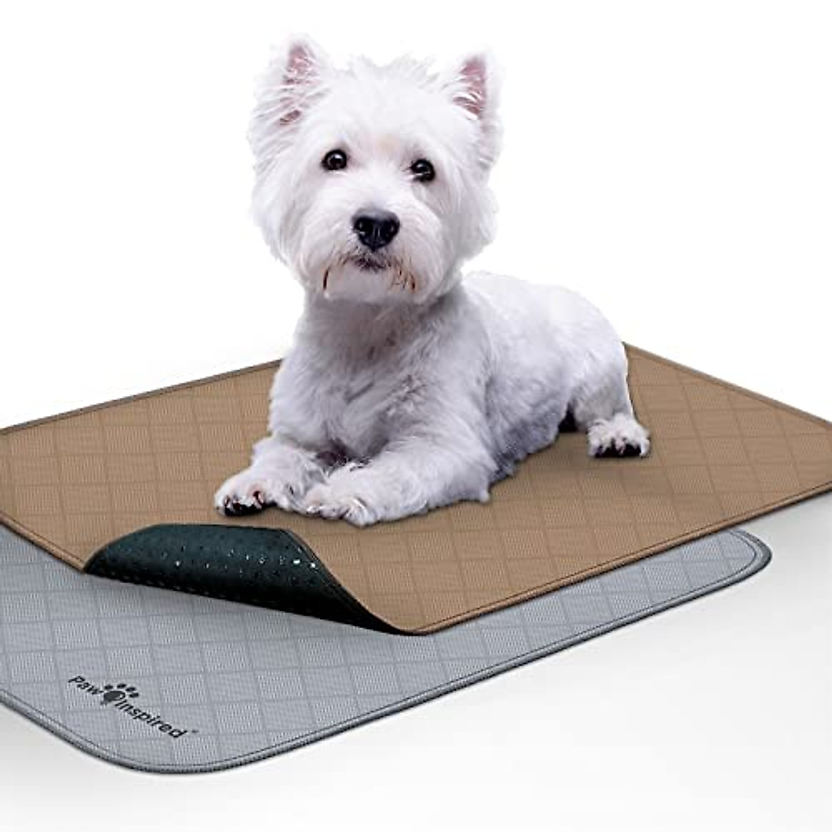 Paw Inspired Washable Pee Pads for Dogs | Reusable Puppy Pads | Waterproof Whelping Pads | Washable Training Pet Pads, Washable Potty Pads Extra Large Sizes (Classic, 24x18 (2 Pack))