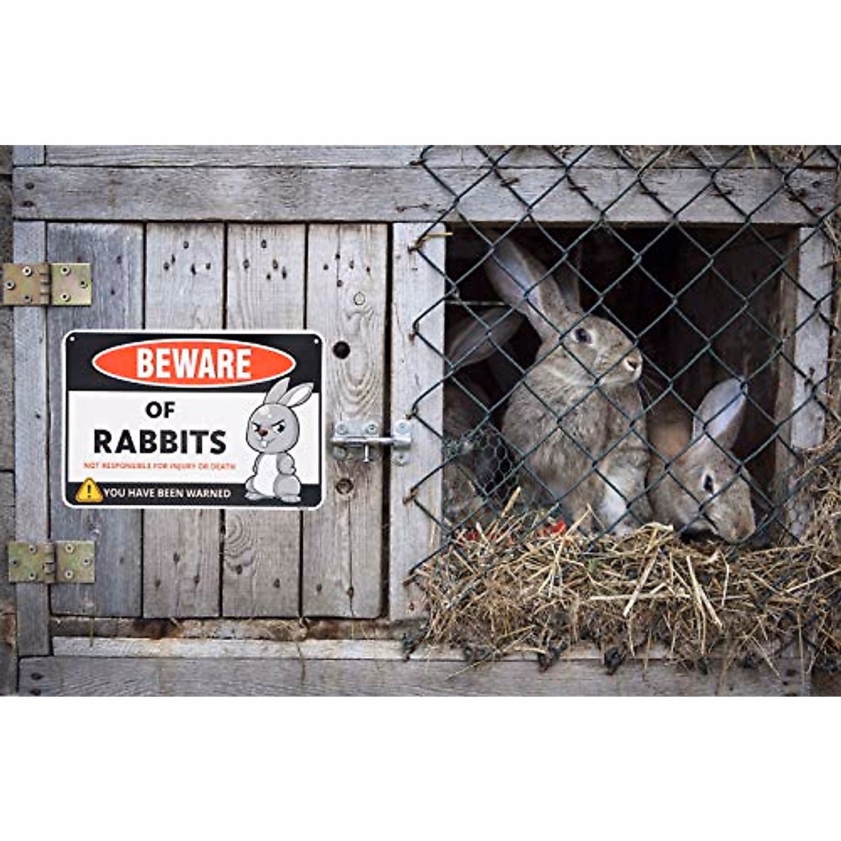 Venicor Beware of Rabbit Sign Decor - 8 x 12 Inches - Aluminum - Bunny Rabbit Decorations Accessories Gifts Supplies Stickers Stuff
