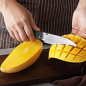 ZhengSheng 4.5" Folding Utility Knife 440A Stainless Steel Blade G10 Handle Pocket Foldable Fruit knife peeling knife for Outdoor Camping Activities