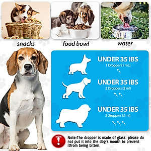 Dog Cough Treatmen - Kennel Cough for Dogs - Dog Allergy Relief - Natural Cough Supplement for Dogs - Herbal Drops for All Breeds & Sizes Natural Cough Supplement for Dogs