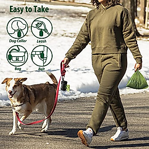 FURHAB Dog Poop Bag Holder Doggie Waste Bag Dispenser for Leash 1680D Nylon Oxford Small Zipper Pouch with Carabiner Clip for Belt Bone-Shaped Opening Portable Set with 1 Roll of Pet Trash Bags, Black
