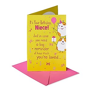 American Greetings Birthday Card for Niece (It's Your Birthday!)