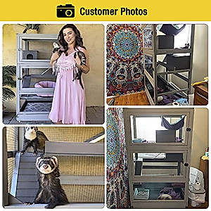 Deluxe Chinchilla Cage Critter Nation, Homes for Pets Small Animal Cage for Adult Rats, Rolling Ferret Habitat Indoor-4 Levels