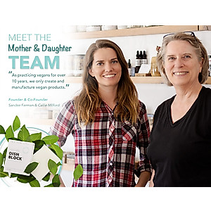 No Tox Life DISH BLOCK - Free of Dyes and Fragrance - Zero Waste Dish Soap