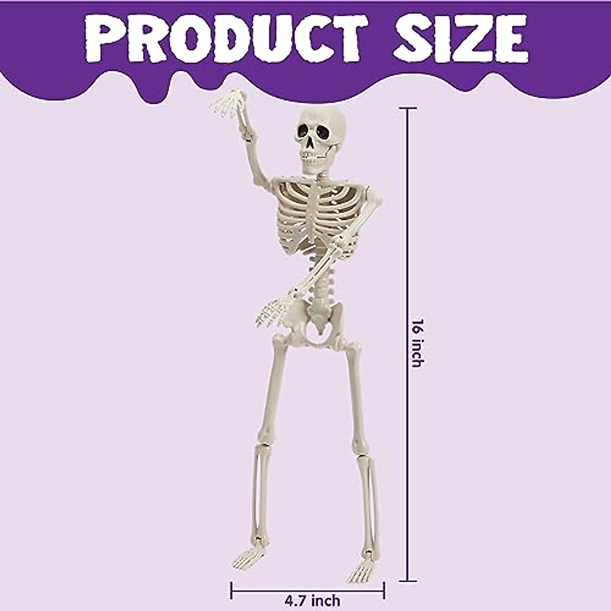 JOYIN 2 PCS 16 Inches Halloween Skeletons Full Body Posable Joints Skeletons for Halloween Graveyard Decorations, Haunted House Accessories